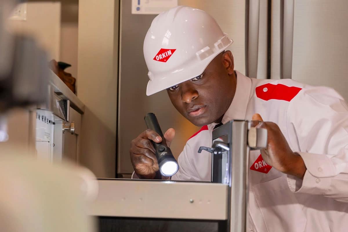 Pest Traceability: Protecting Your Supply Chain - International ...